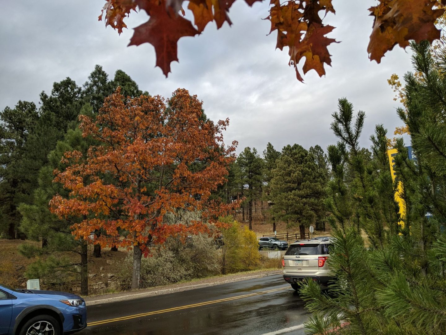 Stanley4Flagstaff – Drew Stanley Flagstaff City Council Campaign